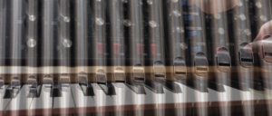 Purity Patches – Sonic Cat